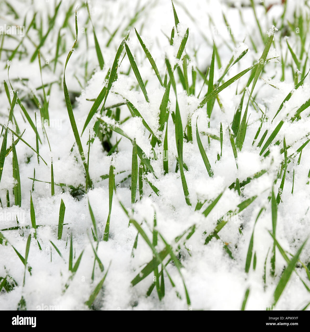 Blade covers hi-res stock photography and images - Alamy