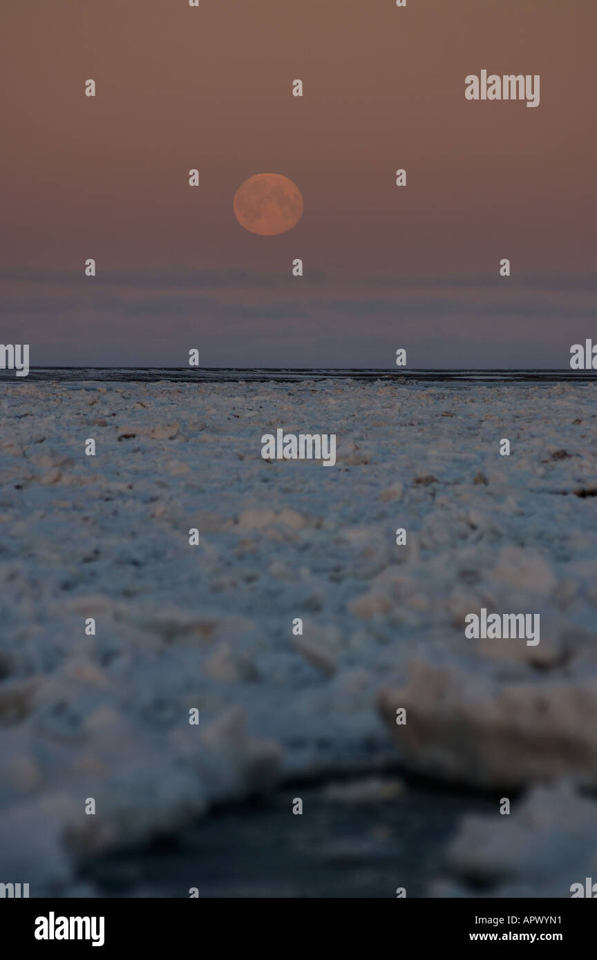 moon over the Arctic ocean during fall freeze up Stock Photo - Alamy