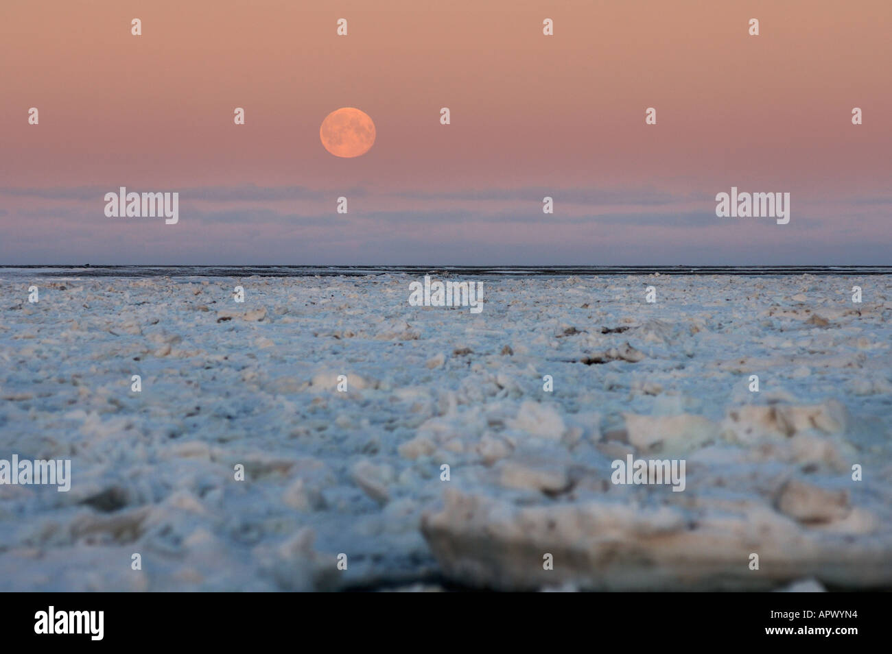 moon over the Arctic ocean during fall freeze up off the coast of the ...