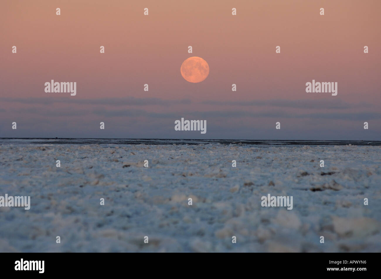 moon over the Arctic ocean during fall freeze up off the coast of the ...