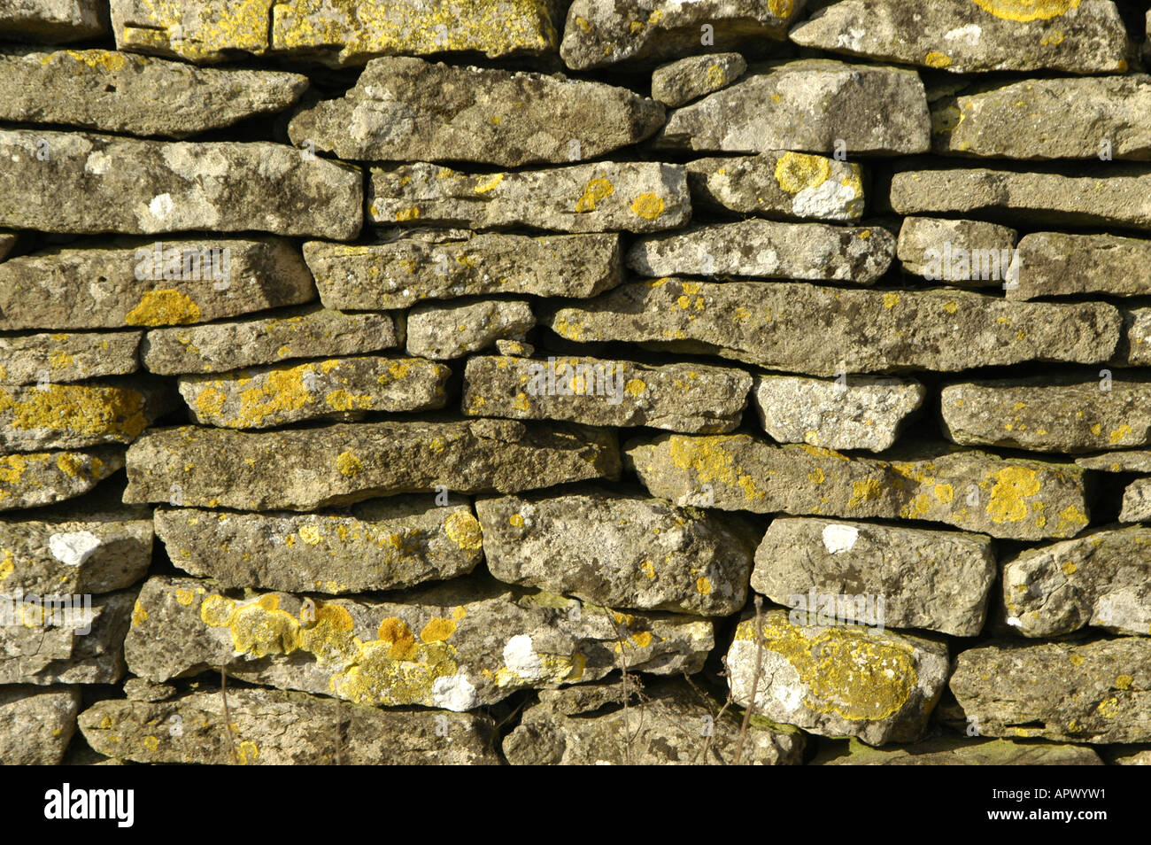 Lichen on cotswold stone hi-res stock photography and images - Alamy