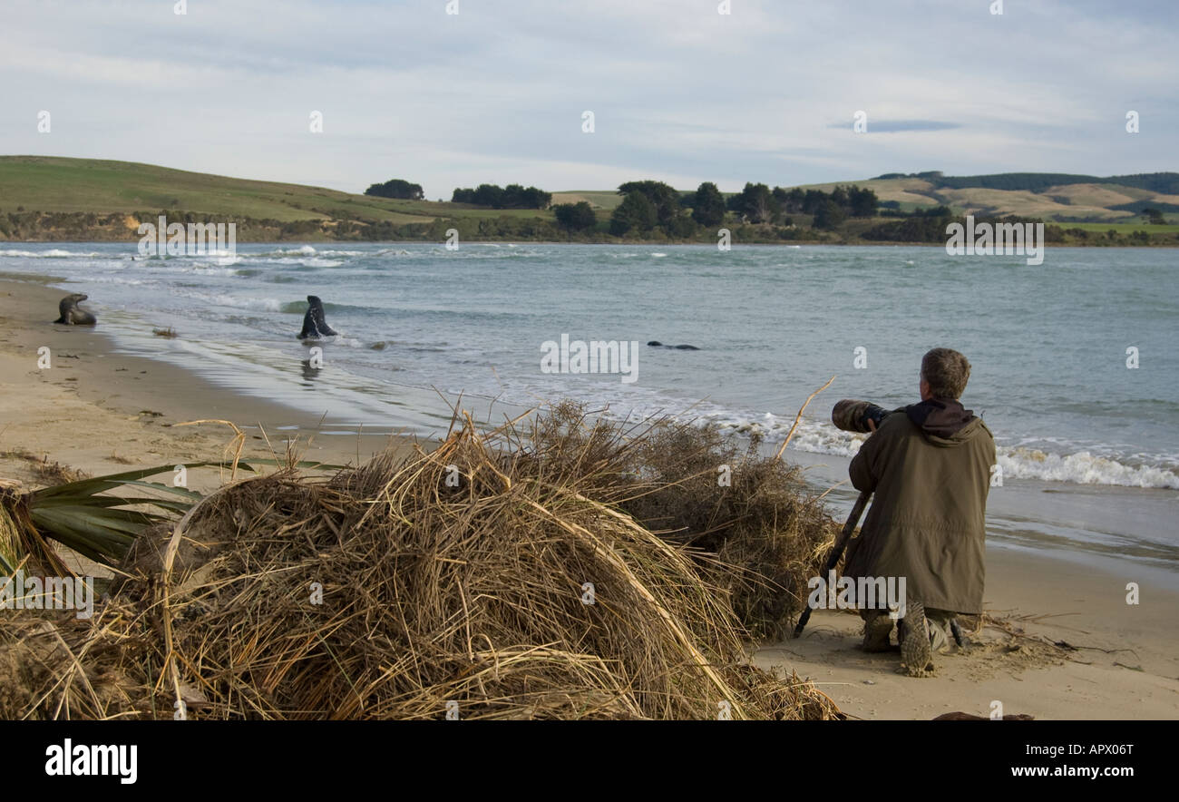 Terry Whittaker High Resolution Stock Photography and Images - Alamy