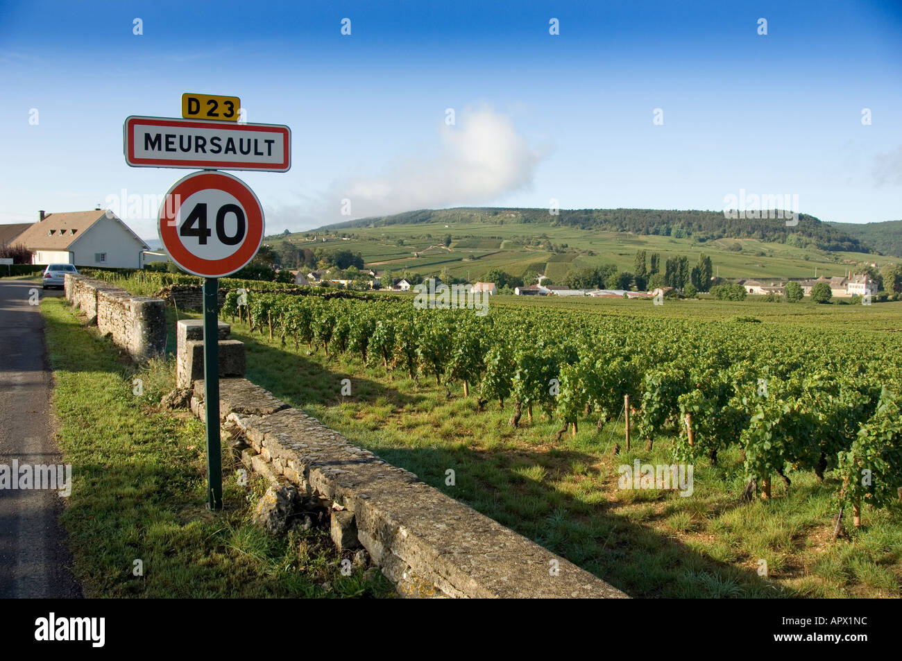 French Wine Making Village Rows Of Vines Landscape Viniculture High ...