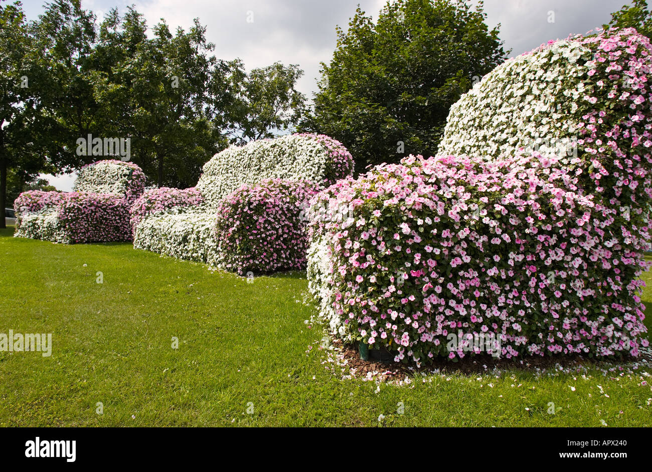 Floral display of three topiary sofas Doncaster Yorkshire UK Stock ...