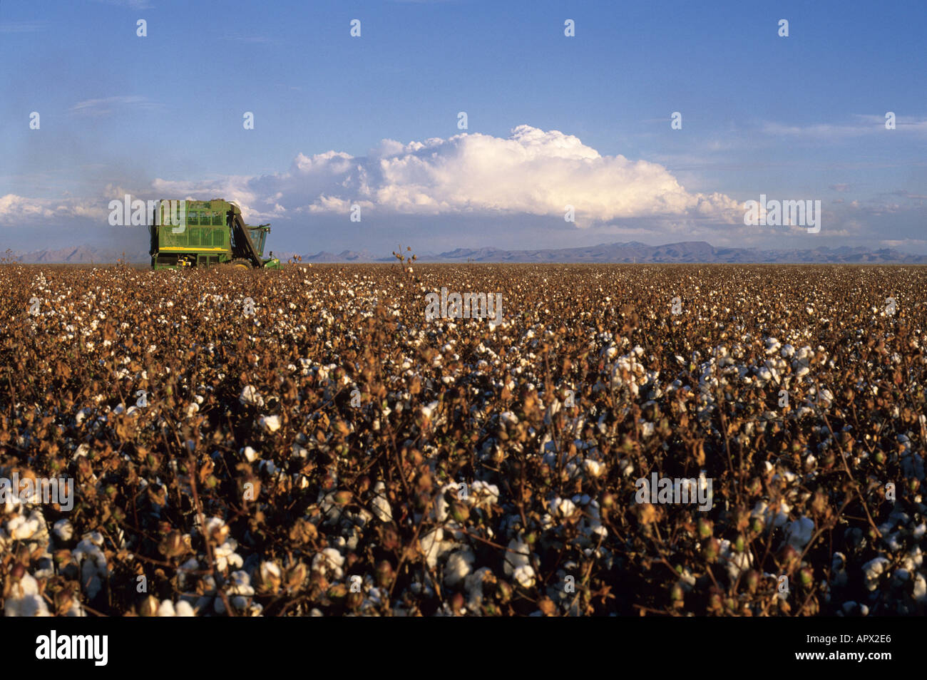 Paloma ranch hi-res stock photography and images - Alamy