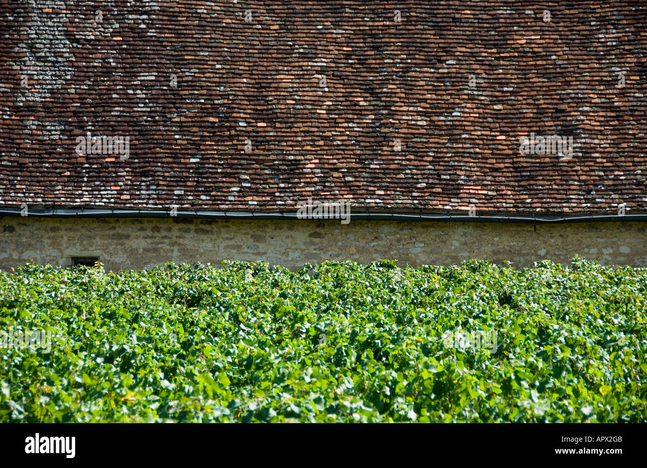 Medieval farm hi-res stock photography and images - Alamy