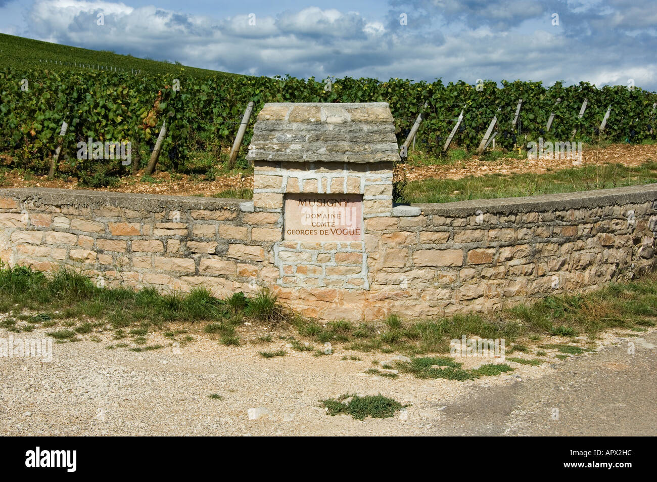 Les petits musigny vineyard hi-res stock photography and images - Alamy