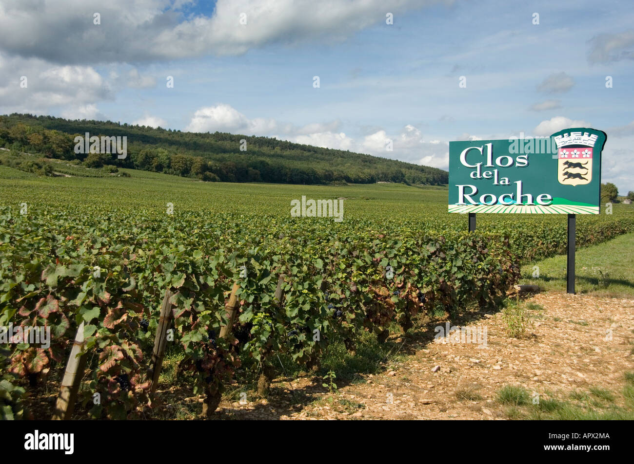 Clos de la Roche vineyard sign between Morey St Denis and Gevrey ...