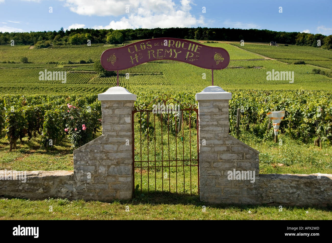 Clos de la roche hi-res stock photography and images - Alamy