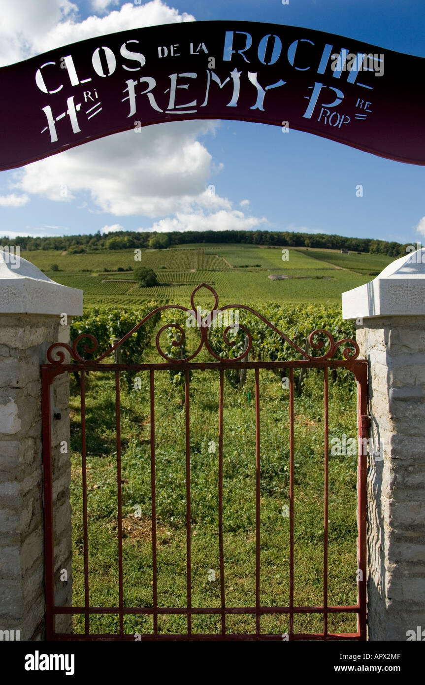 Clos de la roche hi-res stock photography and images - Alamy