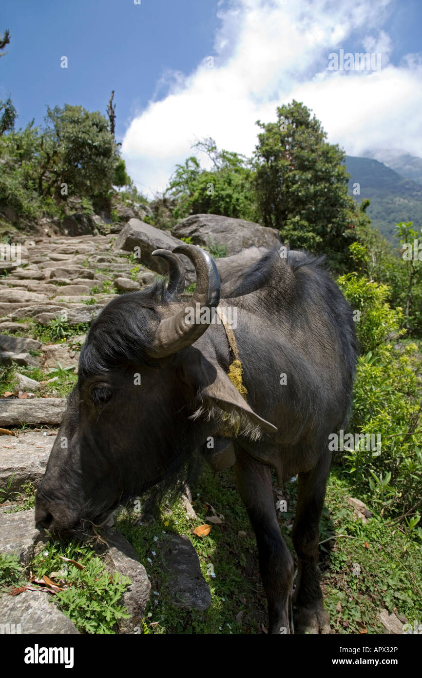 Naya village hi-res stock photography and images - Alamy