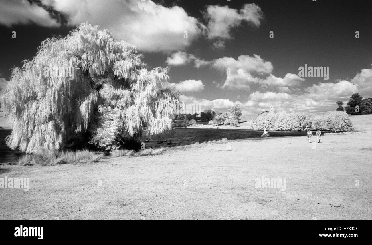 Black and white image of countryside hi-res stock photography and ...