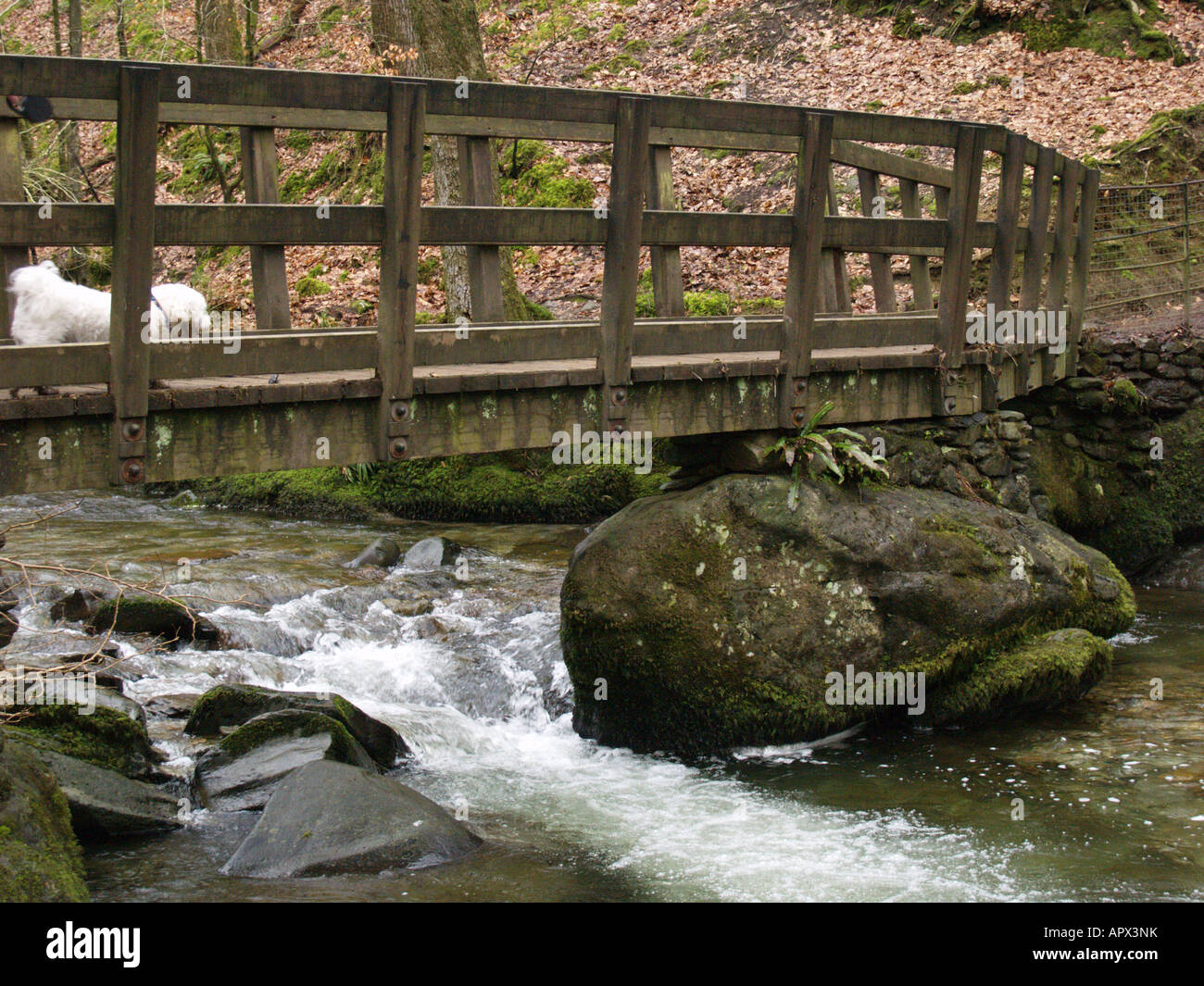 ambleside stream tributary lake windermere bridge Stock Photo - Alamy