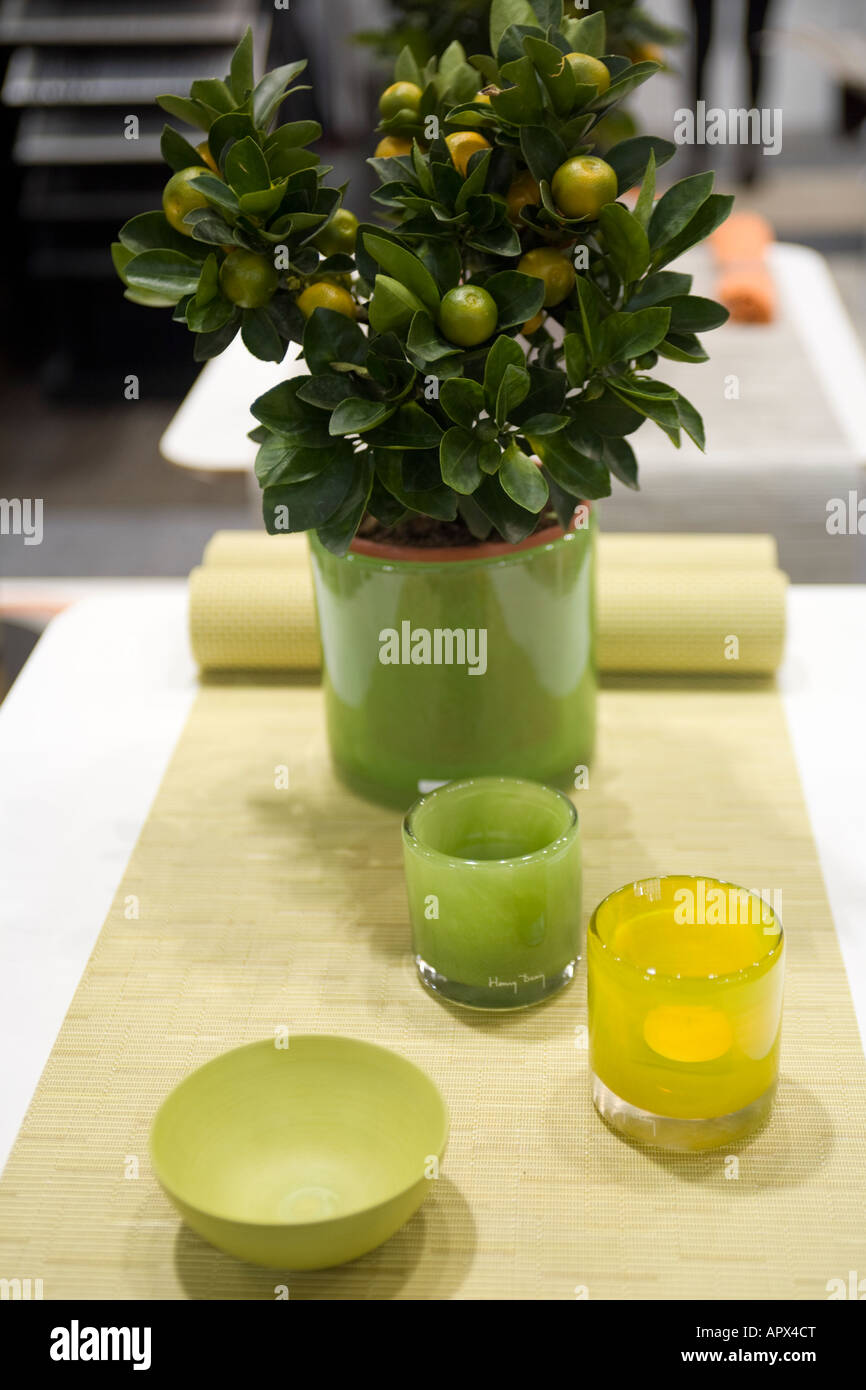 Green pottery and lemon tree Stock Photo - Alamy