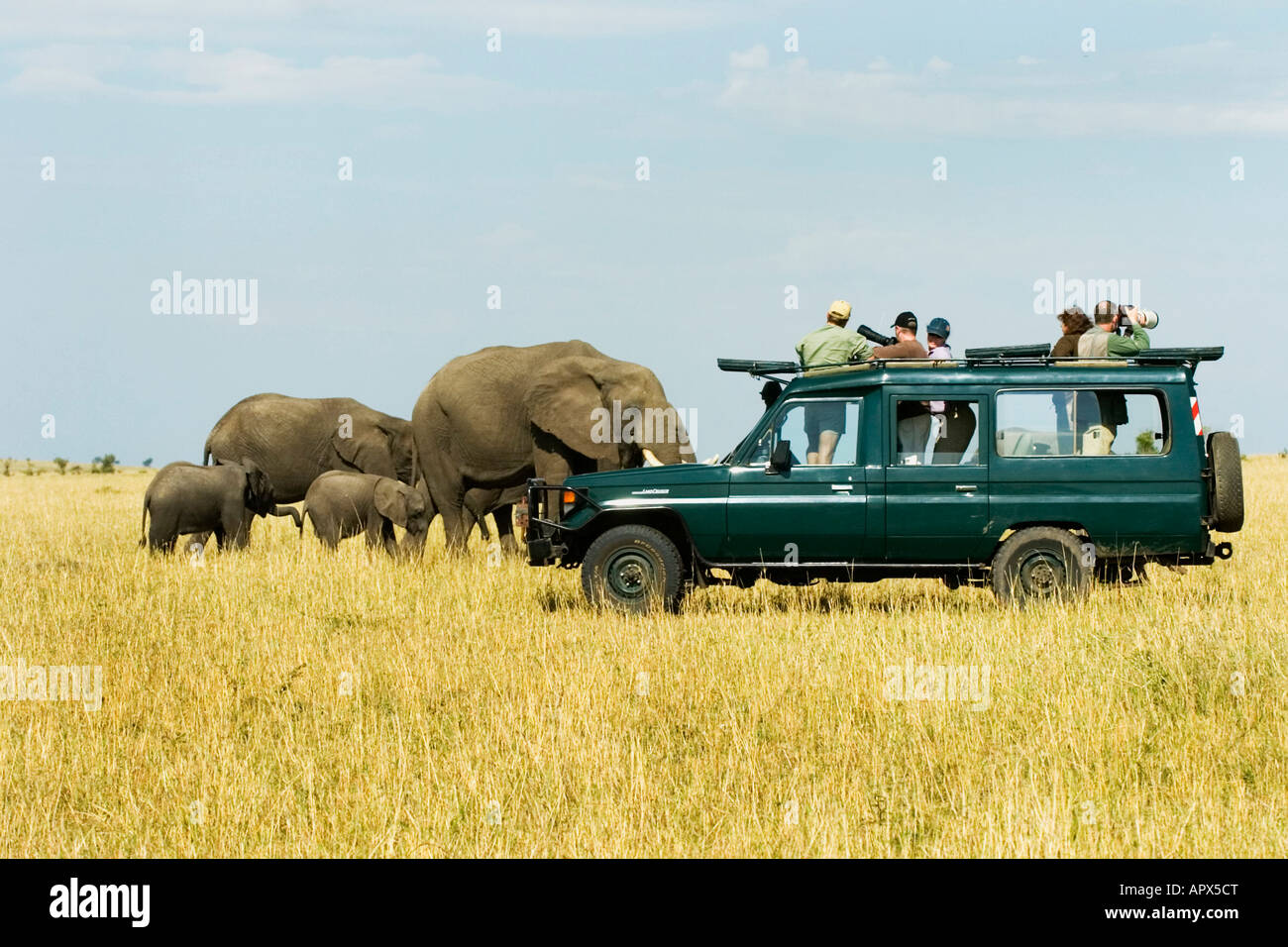 Tourists viewing elephants through the sunroof of a safari vehicle ...