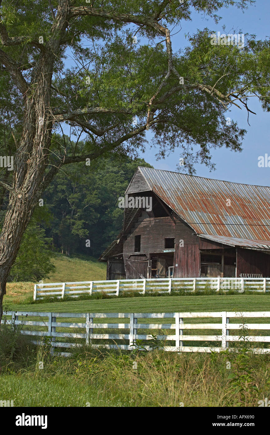 Agricultural scene barn in Williamson County Tennessee Stock Photo - Alamy