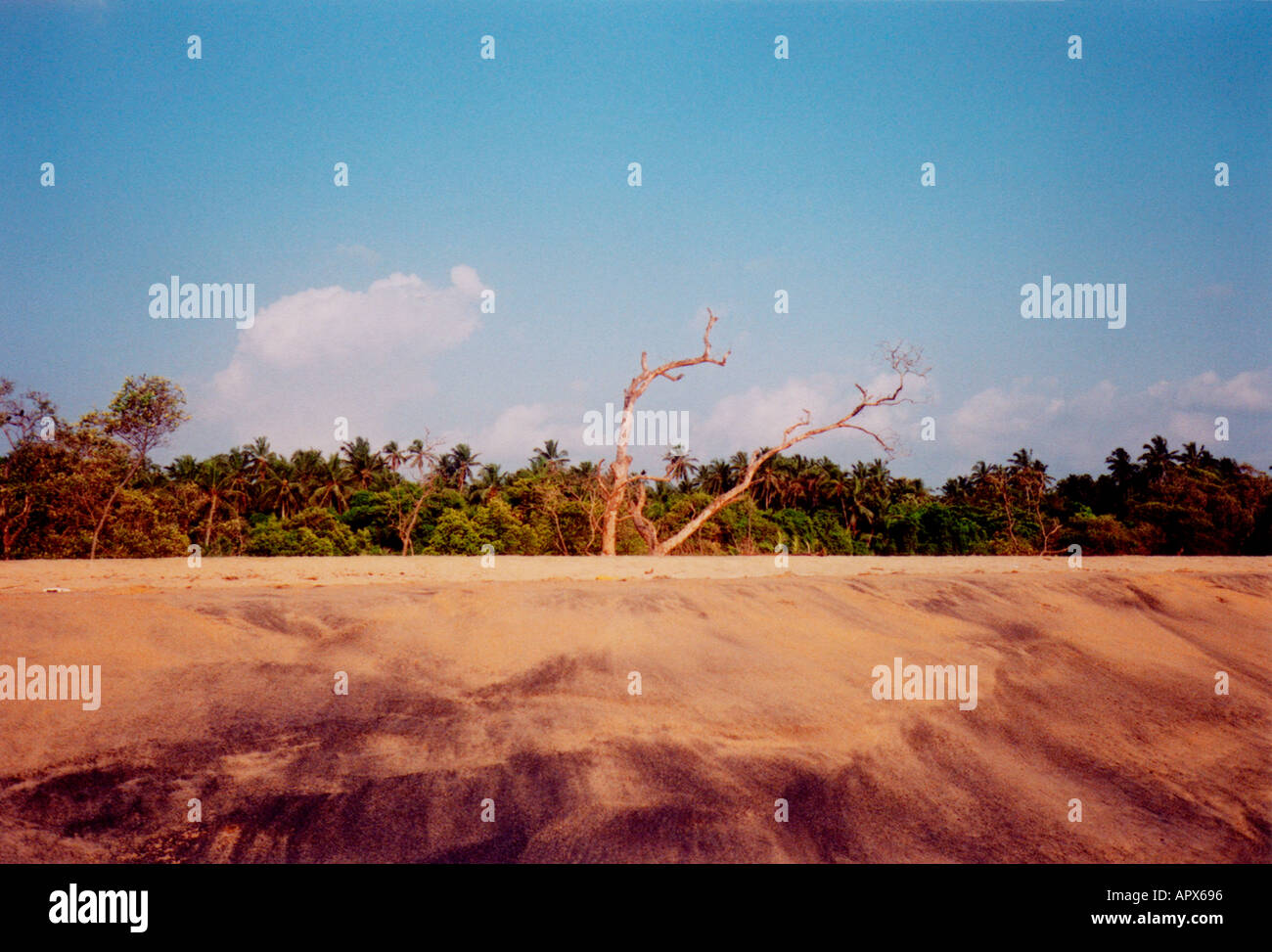 beach Sri Lanka before Tsunami disaster Stock Photo - Alamy