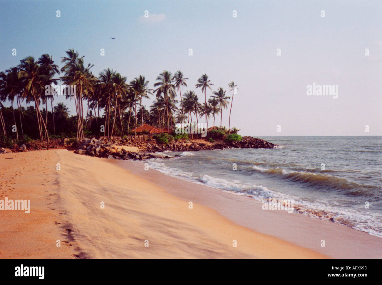 paradise beach Sri Lanka before Tsunami disaster Stock Photo - Alamy