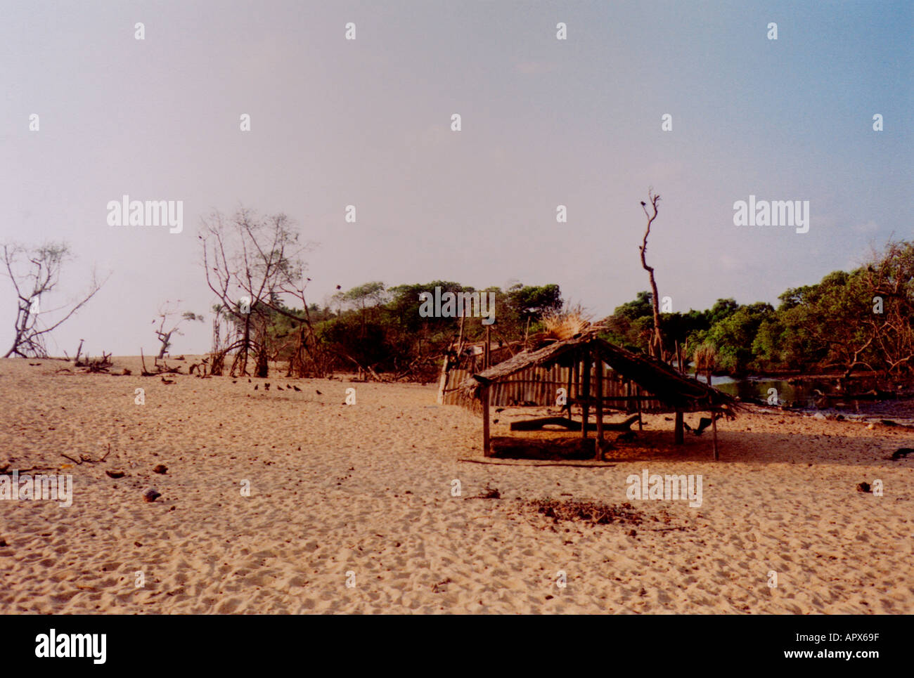 beach hut Sri Lanka before Tsunami disaster Stock Photo - Alamy