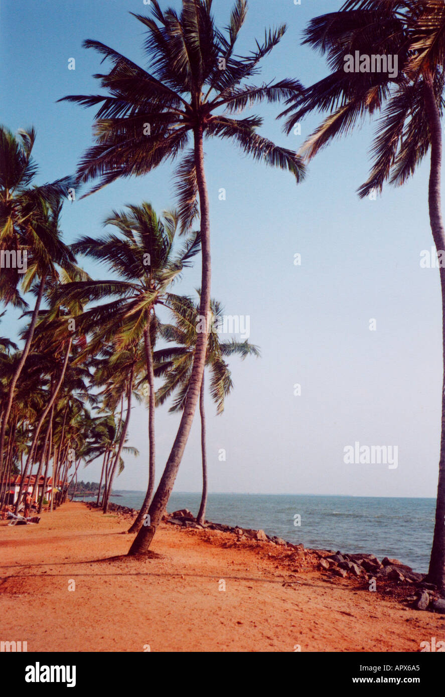 paradise beach Sri Lanka before Tsunami disaster Stock Photo - Alamy