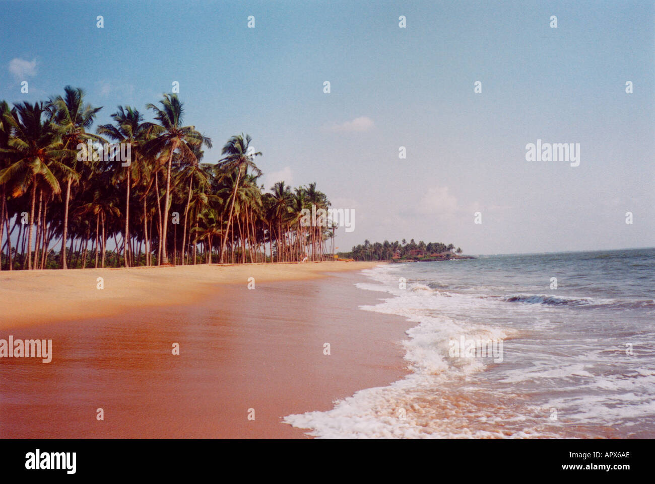 paradise beach Sri Lanka before Tsunami disaster Stock Photo - Alamy