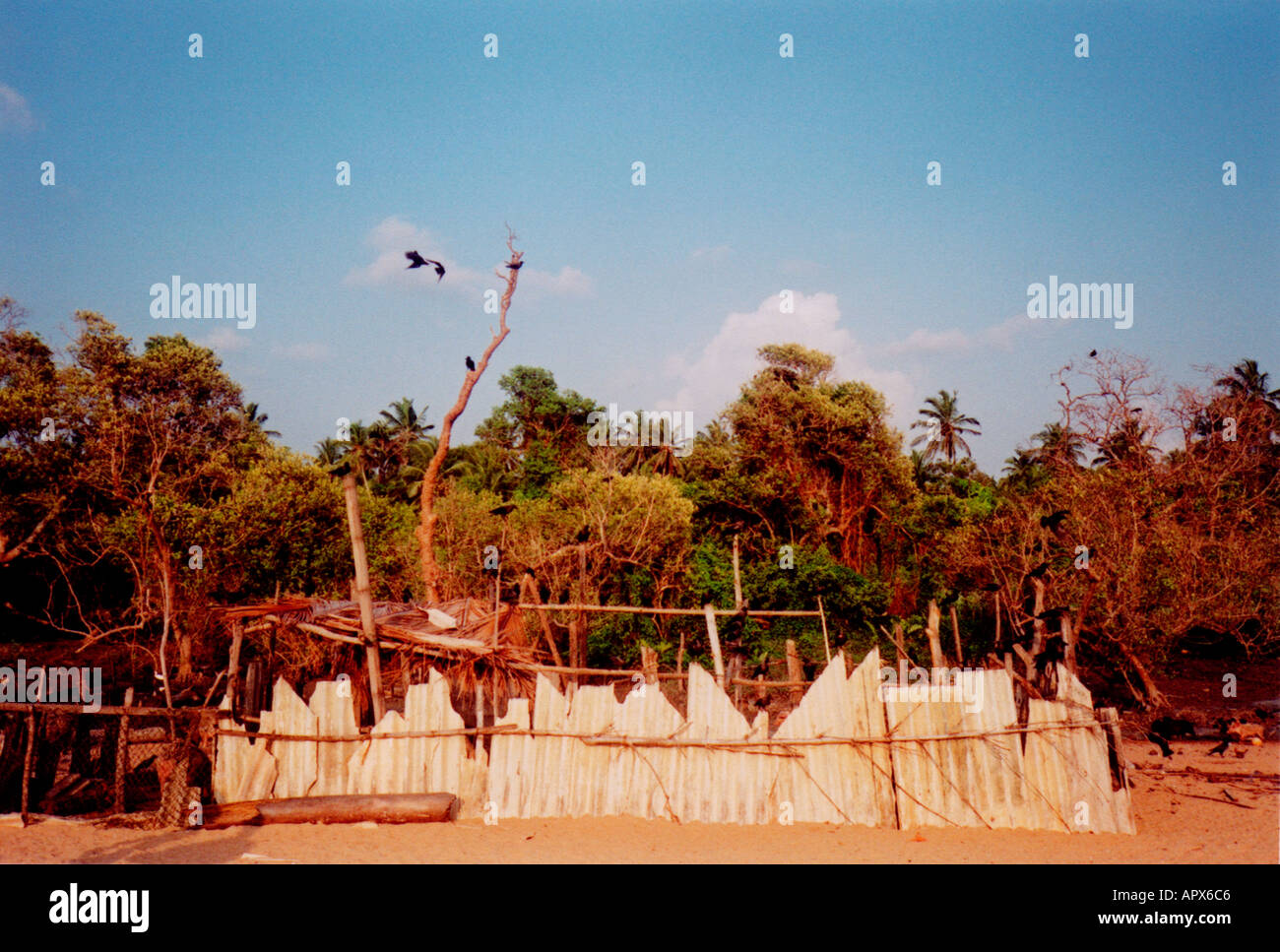 beach hut Sri Lanka before Tsunami disaster Stock Photo - Alamy