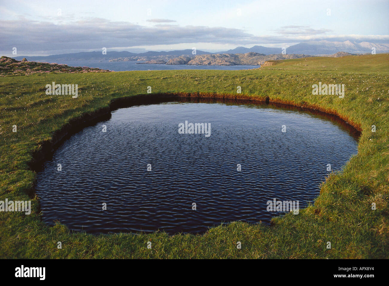 Handa island wildlife reserve hi-res stock photography and images - Alamy
