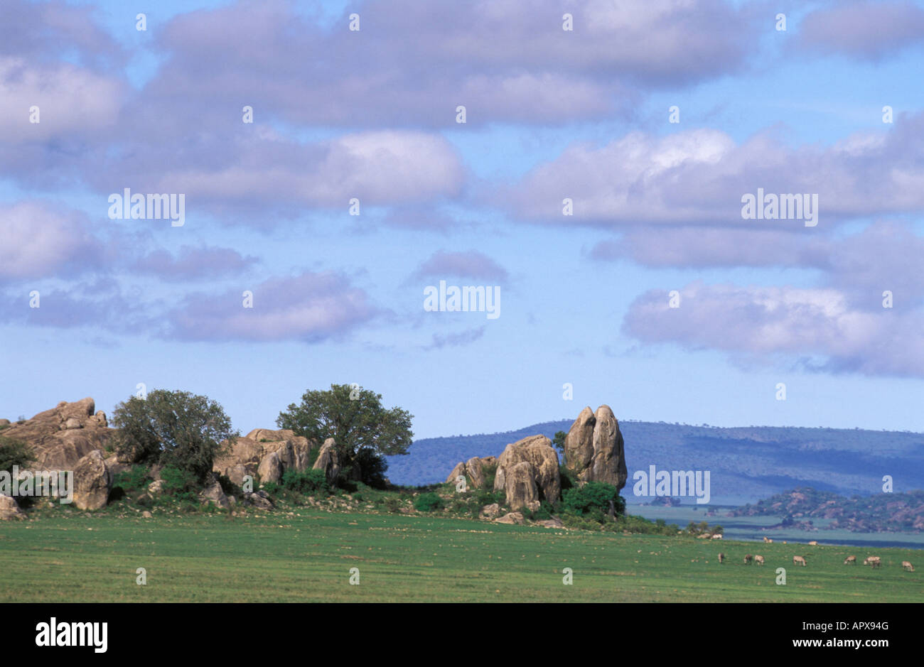 Serengeti landscape with rocks and boulders Stock Photo - Alamy