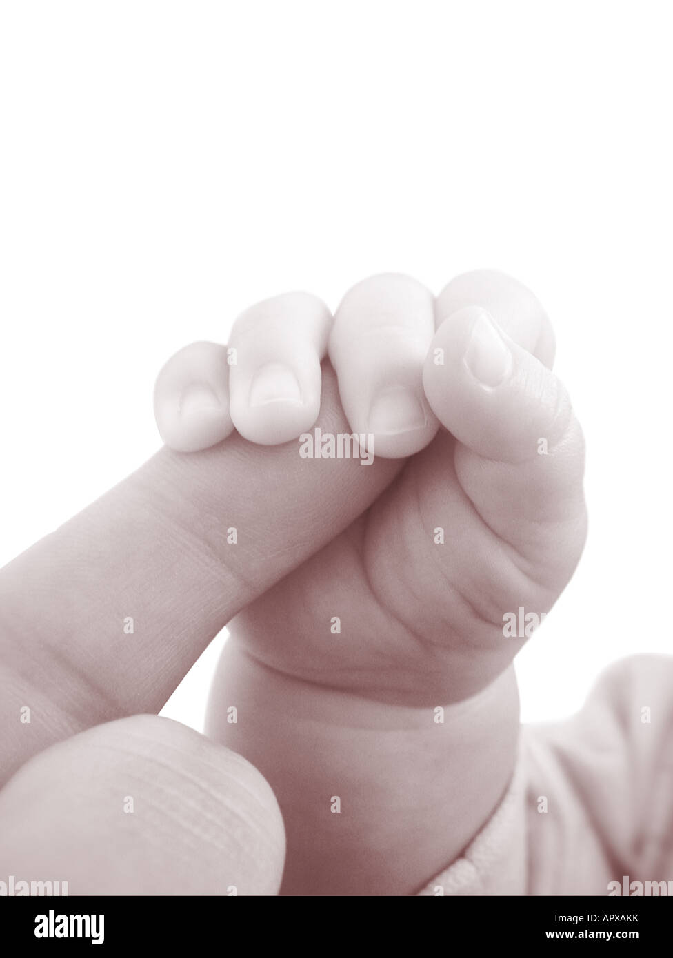 Babys hand holding adults hand hi-res stock photography and images - Alamy