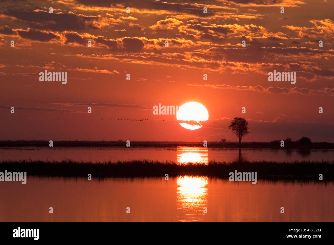 Sunset over the Chobe River Stock Photo - Alamy