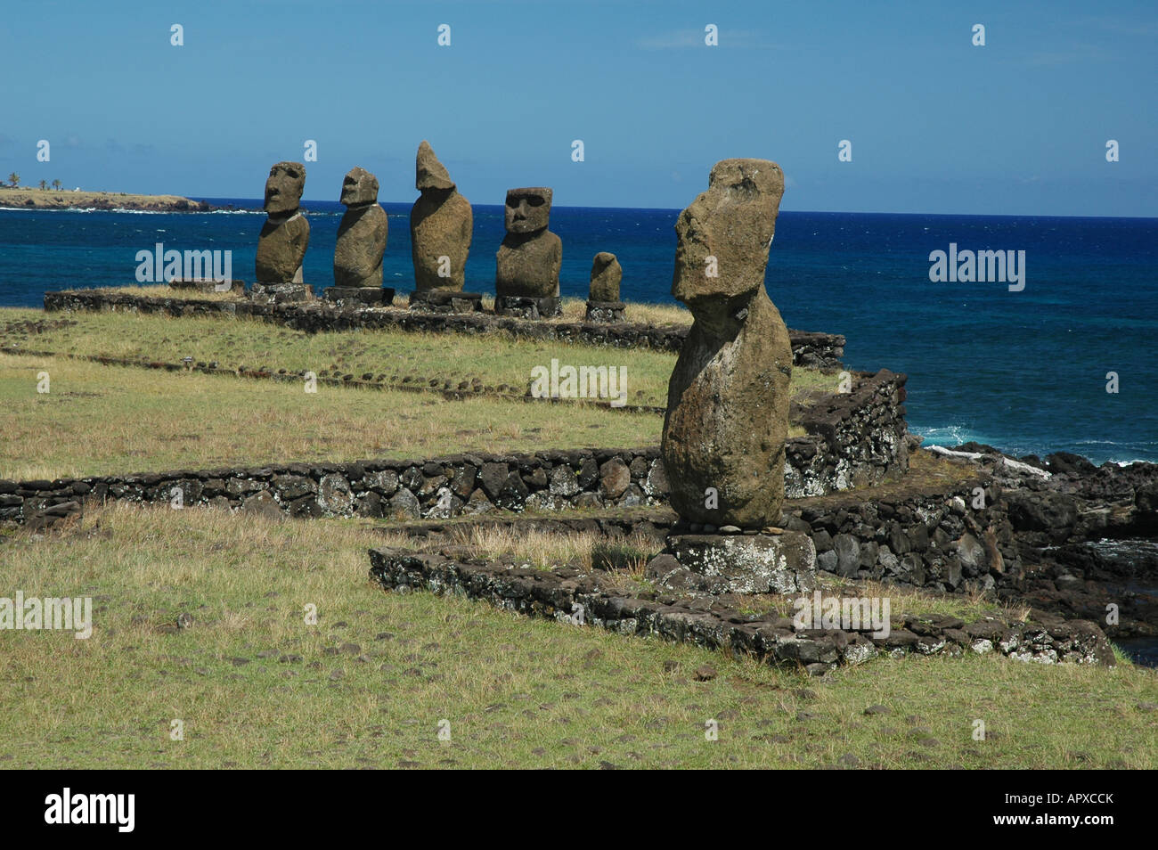Moai statue, easter island Stock Photo - Alamy