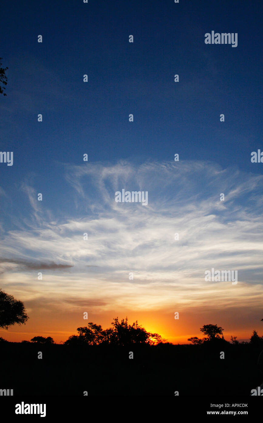 Sunset bushveld hi-res stock photography and images - Alamy