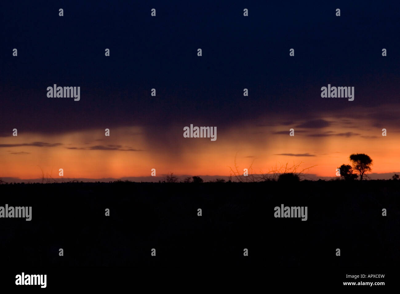 Kalahari rain at sunset over Khutse Stock Photo - Alamy