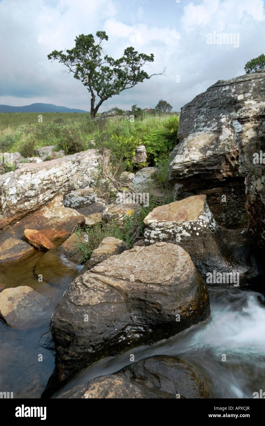 Flowing stream at the Mac Mac pools Stock Photo - Alamy