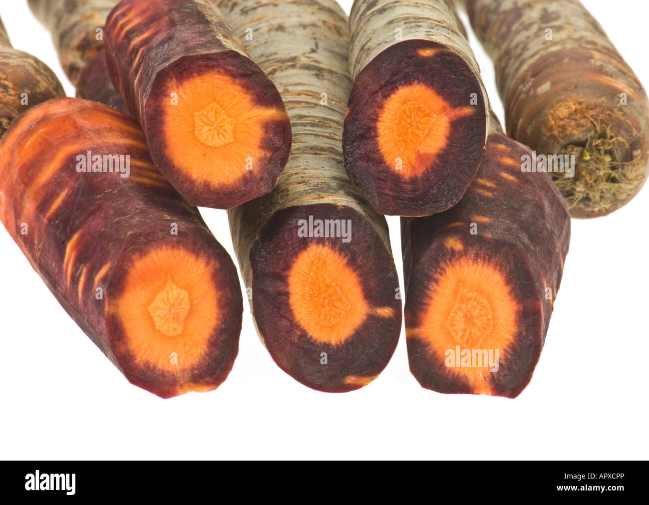 CARROTS red blue lilac lila purple lavender black dark NEW sort kind ...