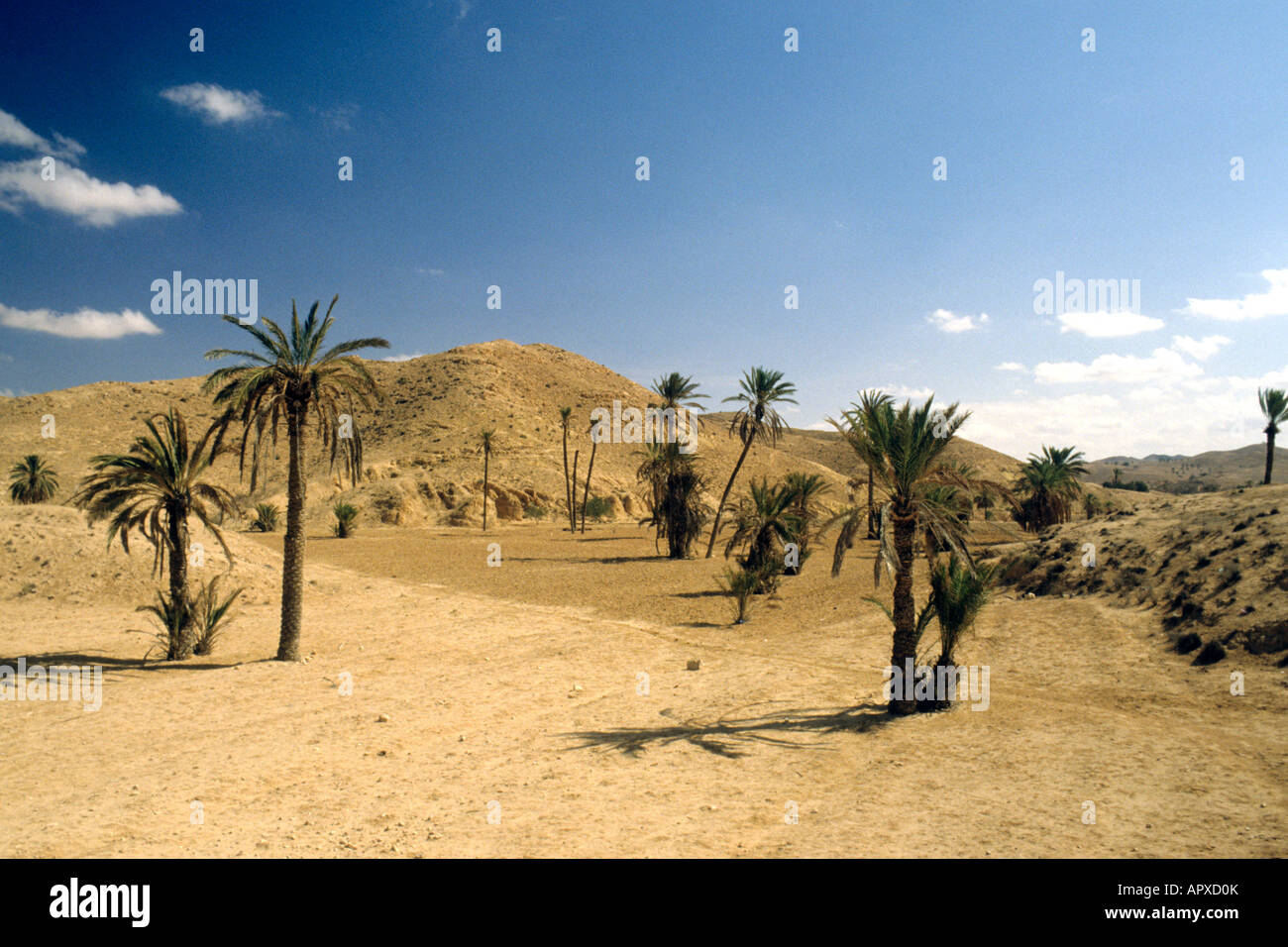 The Tunisian desert near Douz Stock Photo - Alamy