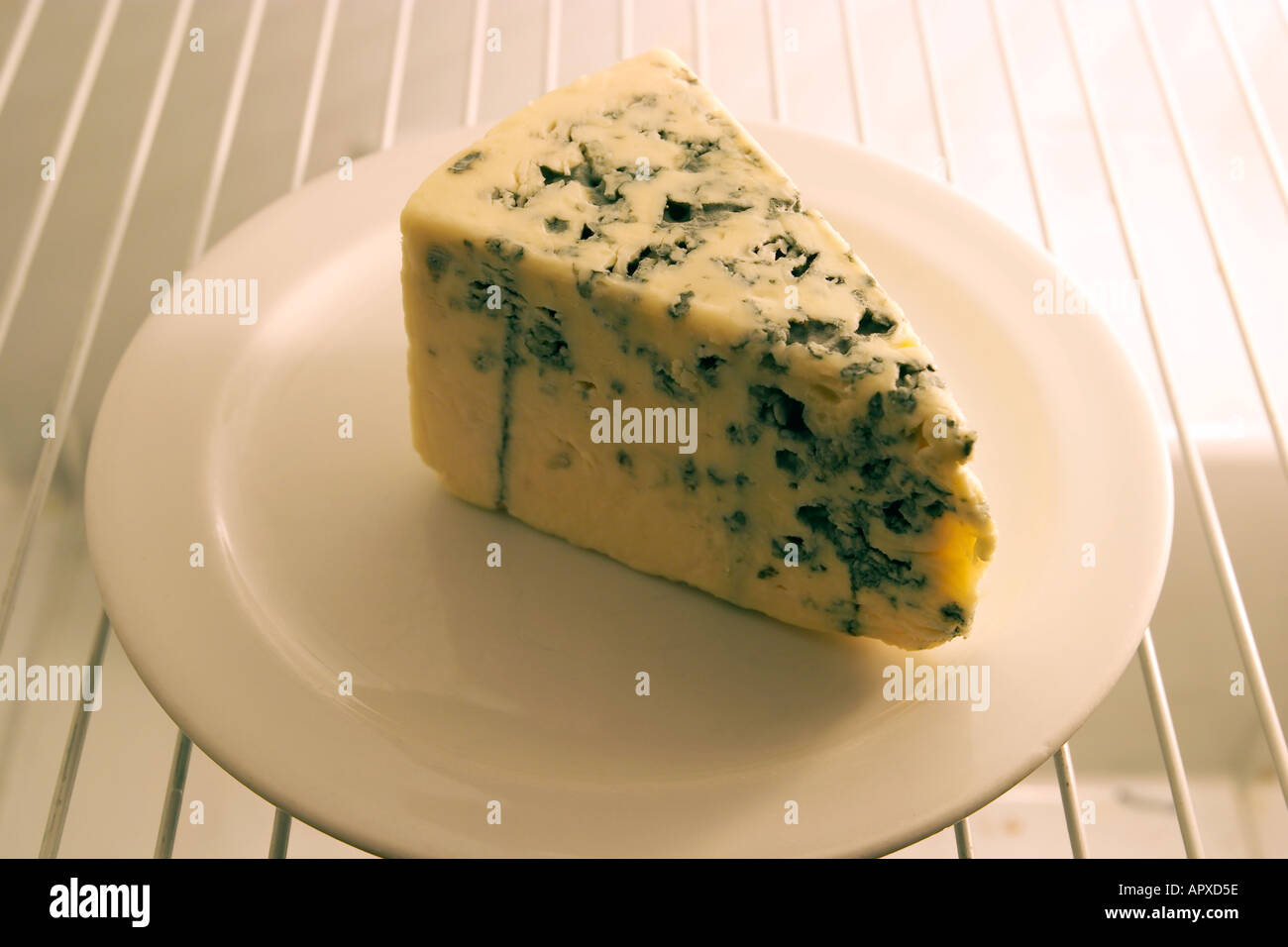 Mouldy cheese fridge hi-res stock photography and images - Alamy