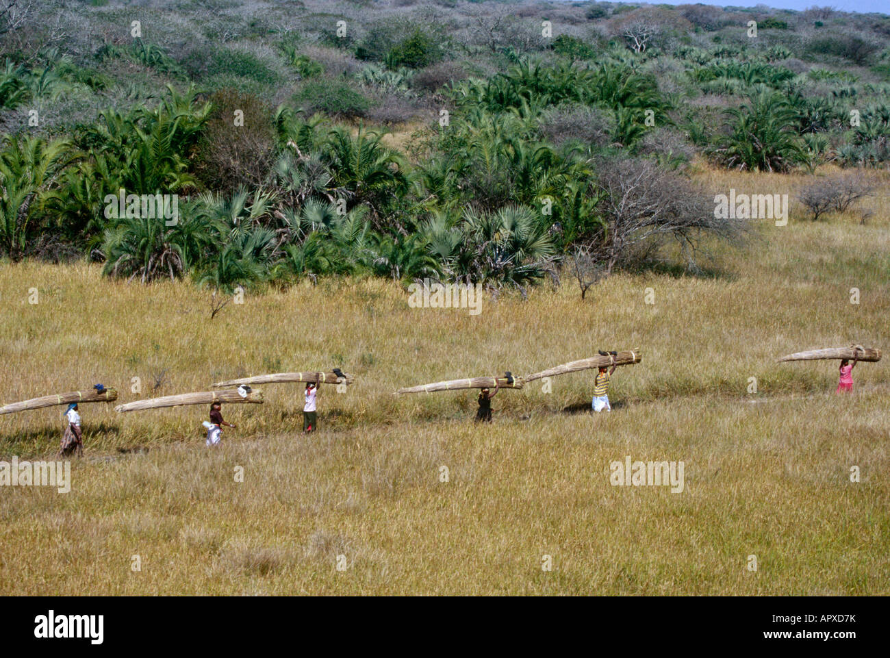 Zulu women hi-res stock photography and images - Alamy
