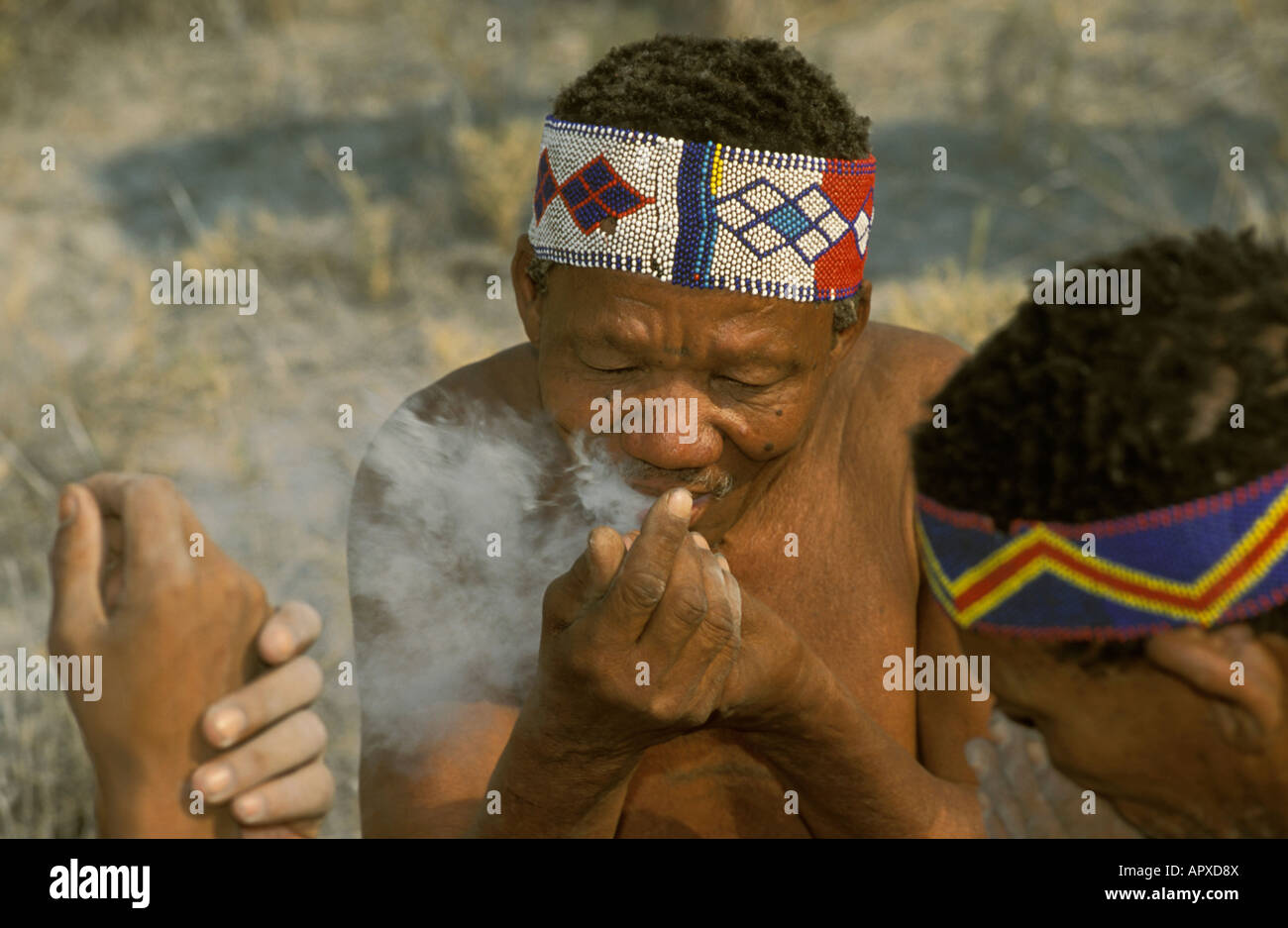 A portrait of a Bushman wearing a beaded headband and smoking a pipe ...