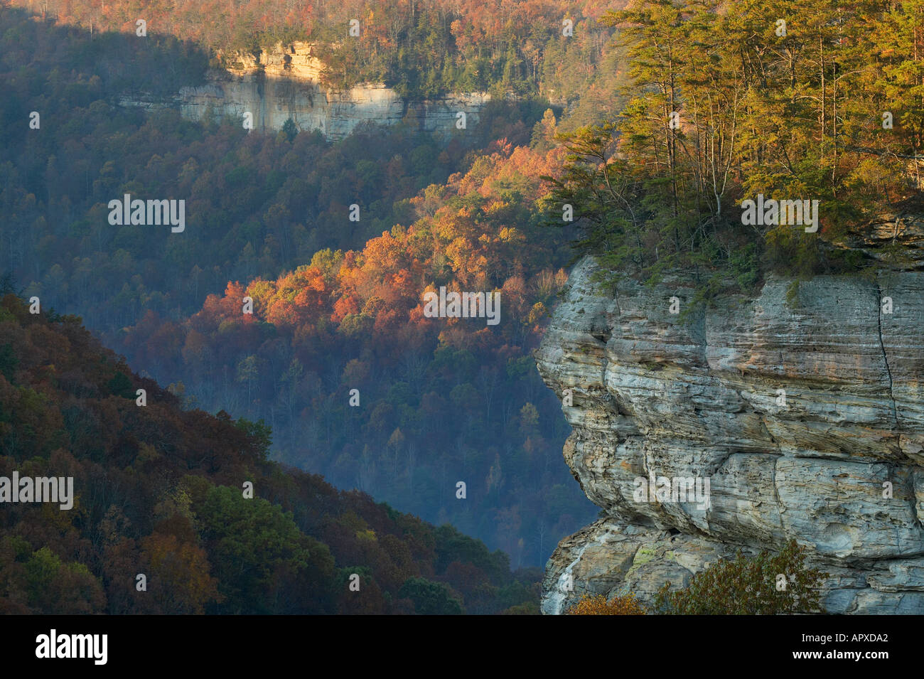 Scenic View of Gorge and Bluffs on the Cumberland Plateau in Fall Pogue ...