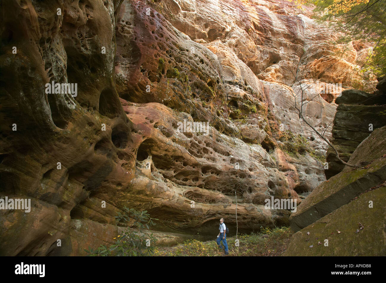 Sheer rock walls along trail with person for scale in the Cumberland ...