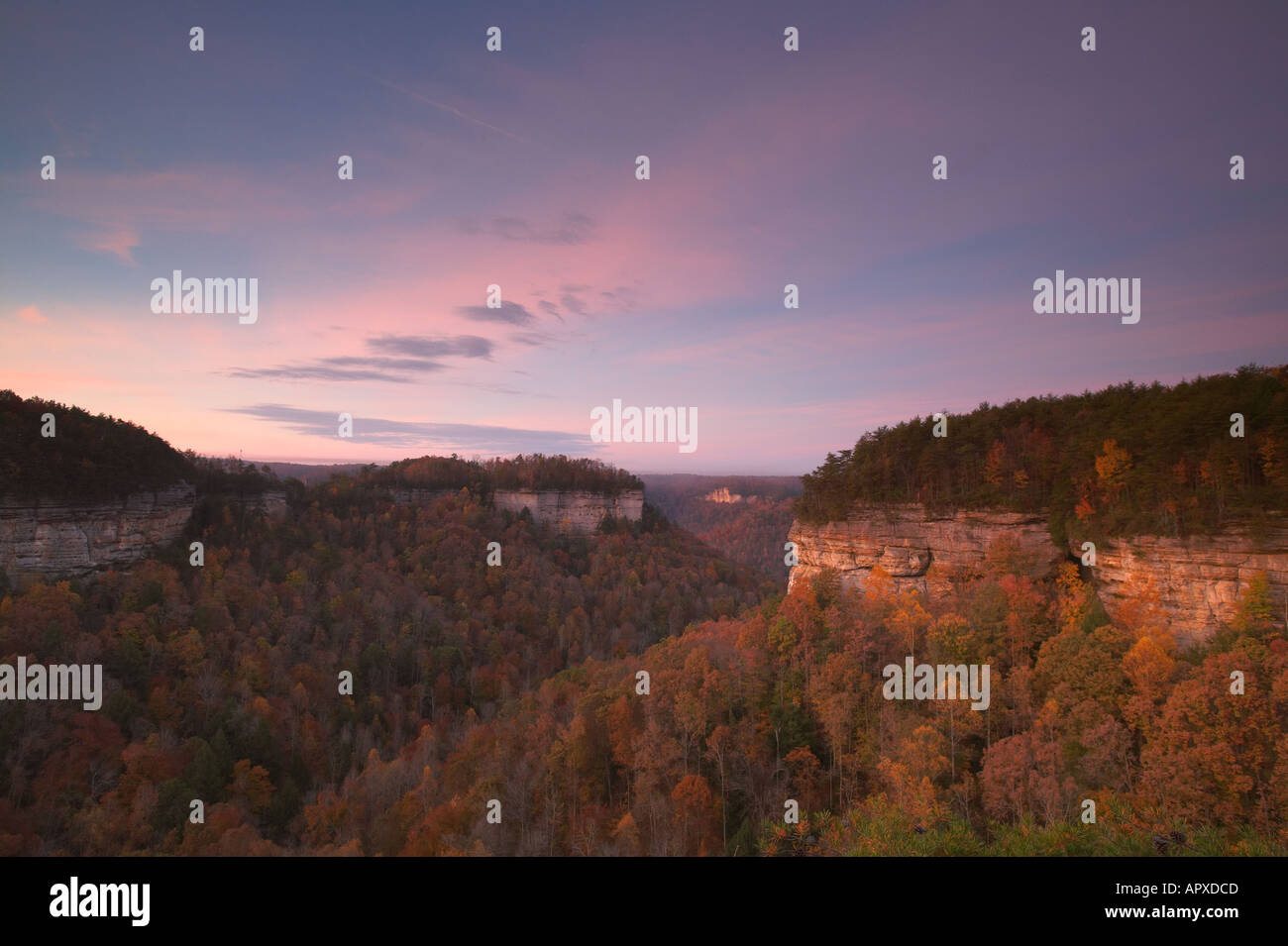 Scenic View of Gorge and Bluffs on the Cumberland Plateau in Fall Pogue ...