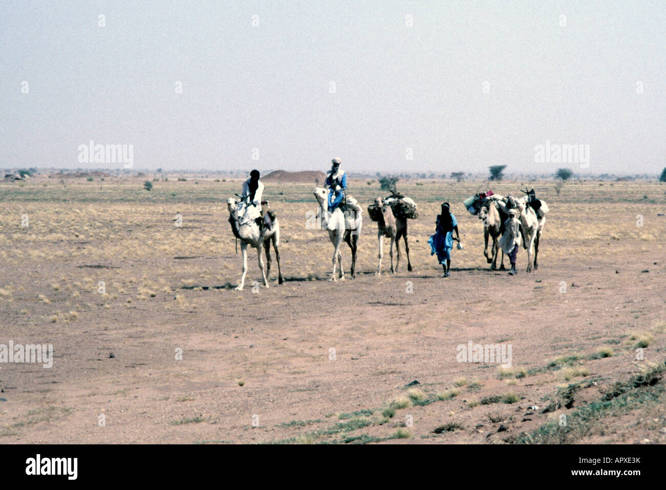 Camel train load desert hi-res stock photography and images - Alamy