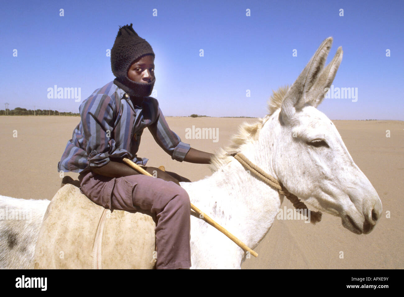 Little boy riding his donkey in Dufufa Stock Photo - Alamy