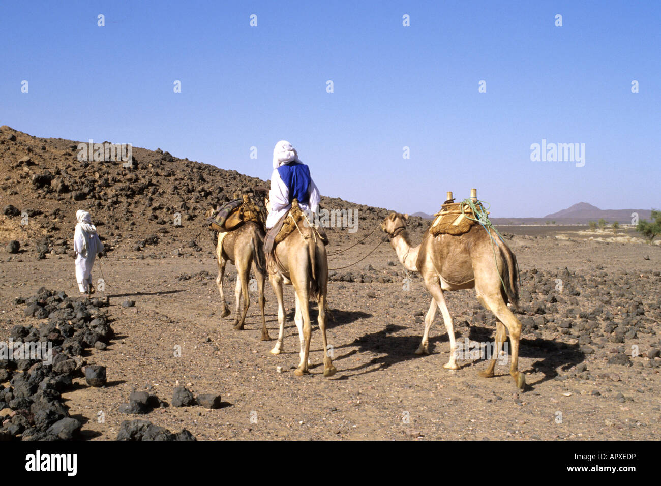 Bisharin hi-res stock photography and images - Alamy