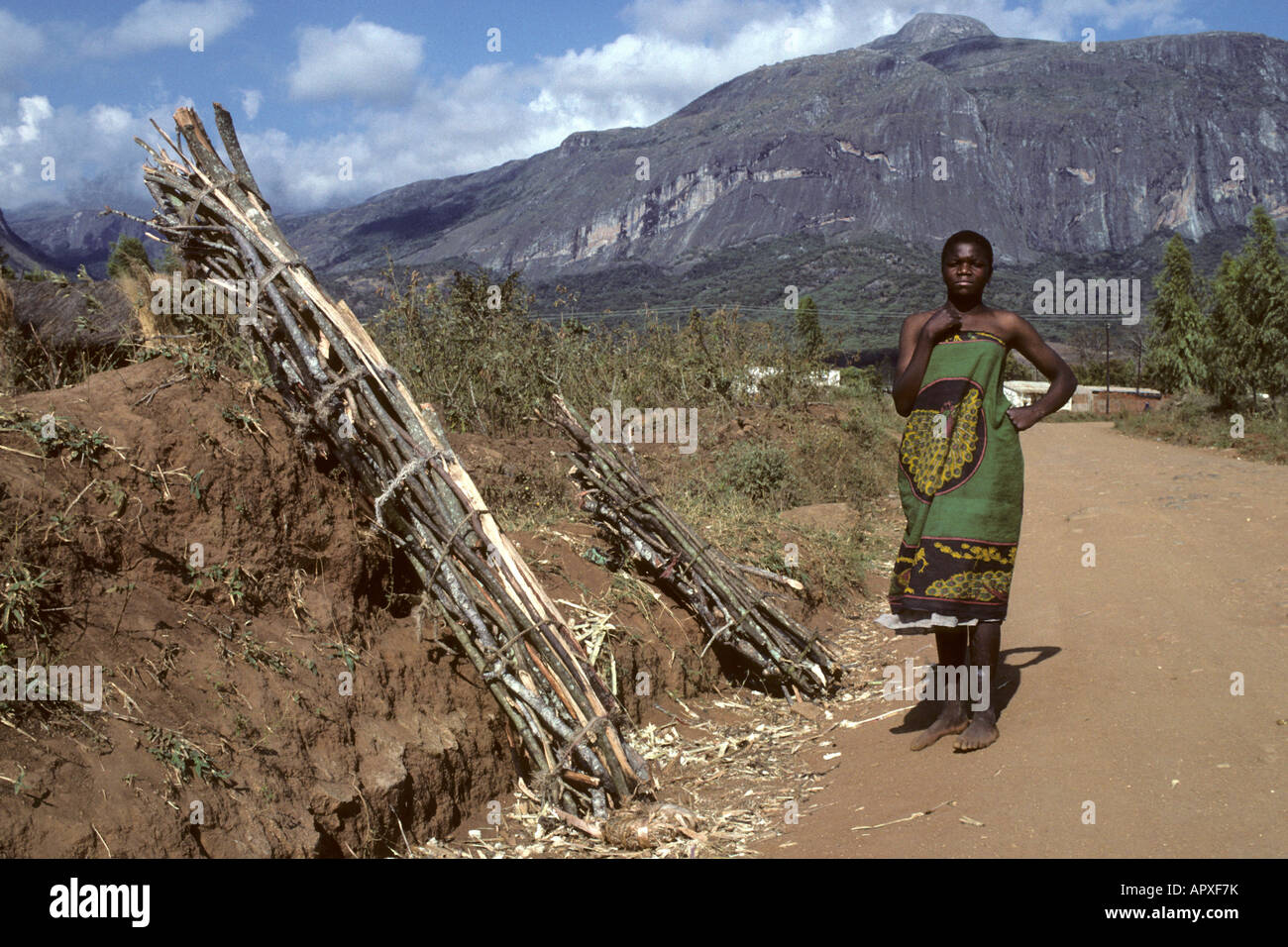 Gathering firewood hi-res stock photography and images - Alamy