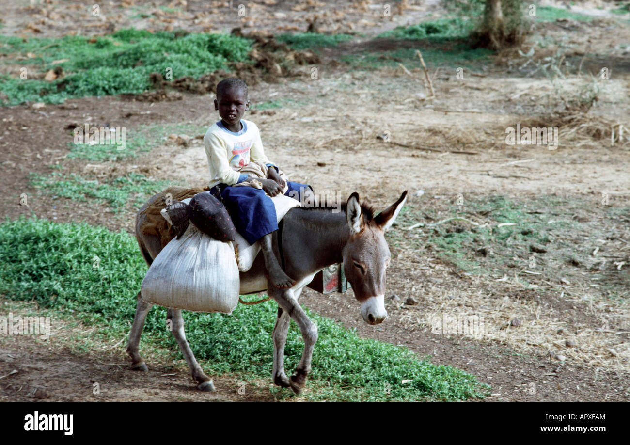 Child riding a donkey on return from the market Stock Photo - Alamy