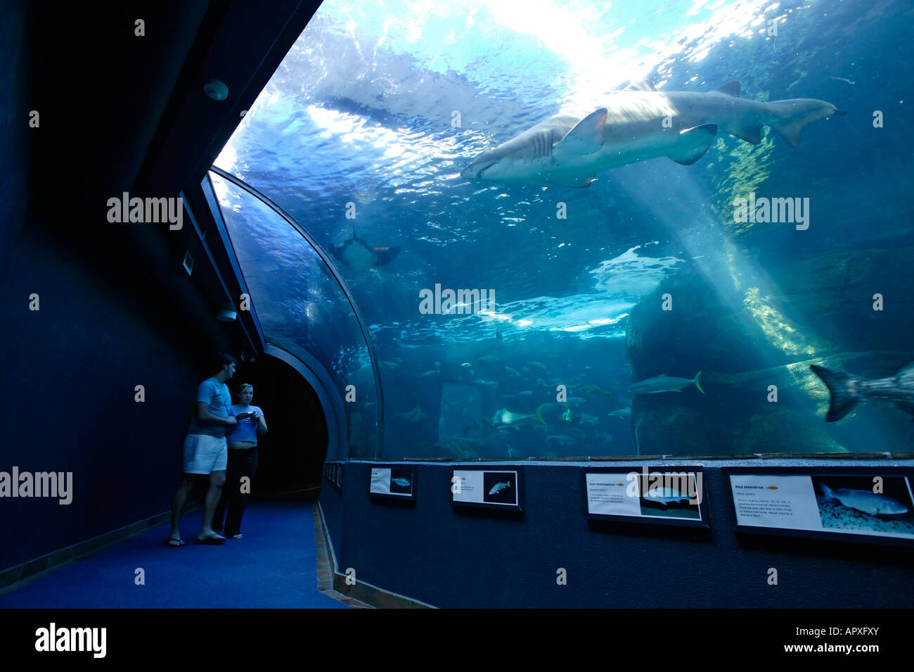 Two Oceans Aquarium Stock Photo - Alamy