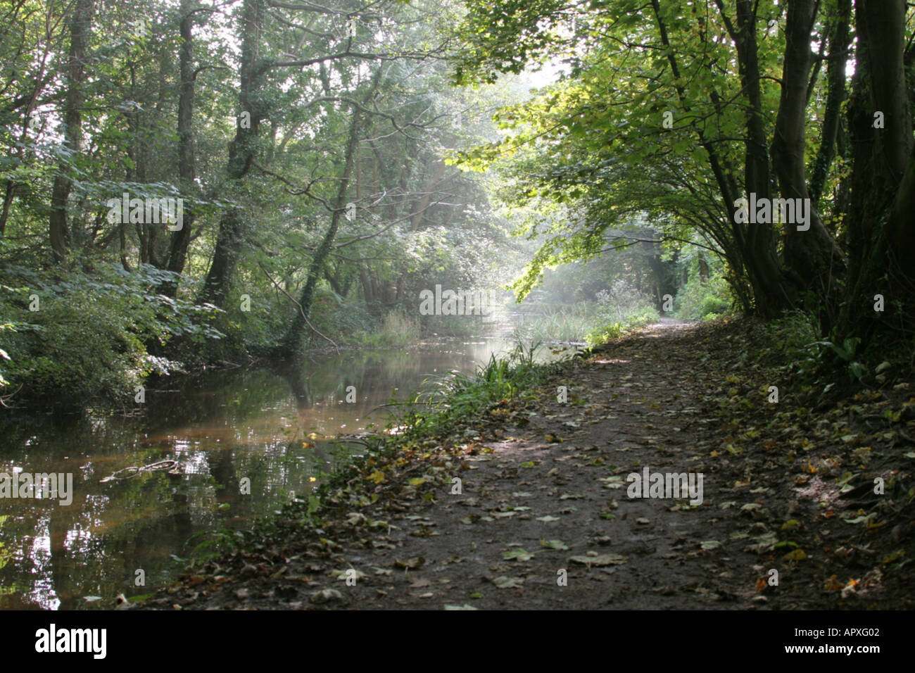 Glamorganshire canal nature reserve hi-res stock photography and images ...