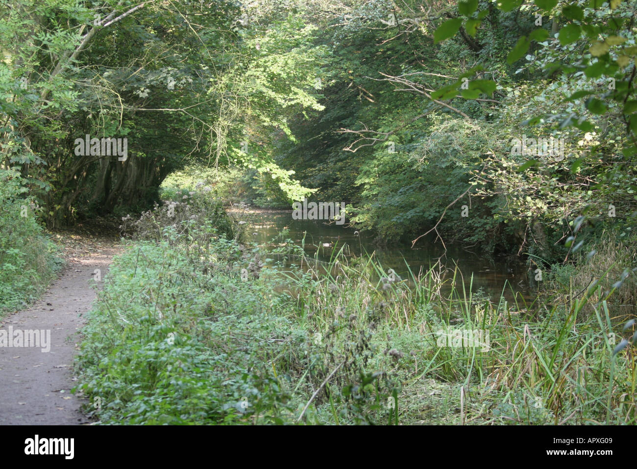 Glamorganshire canal nature reserve hi-res stock photography and images ...